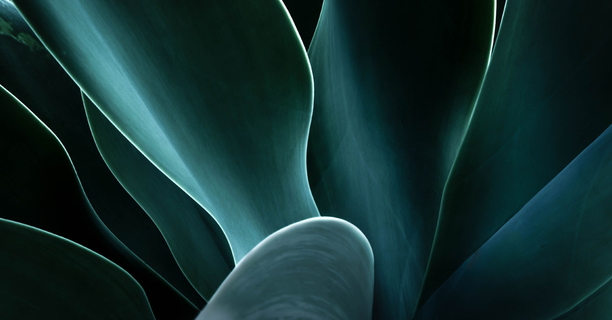 Unisys Names Ruchi Kulhari as Senior Vice President and Chief Human ...